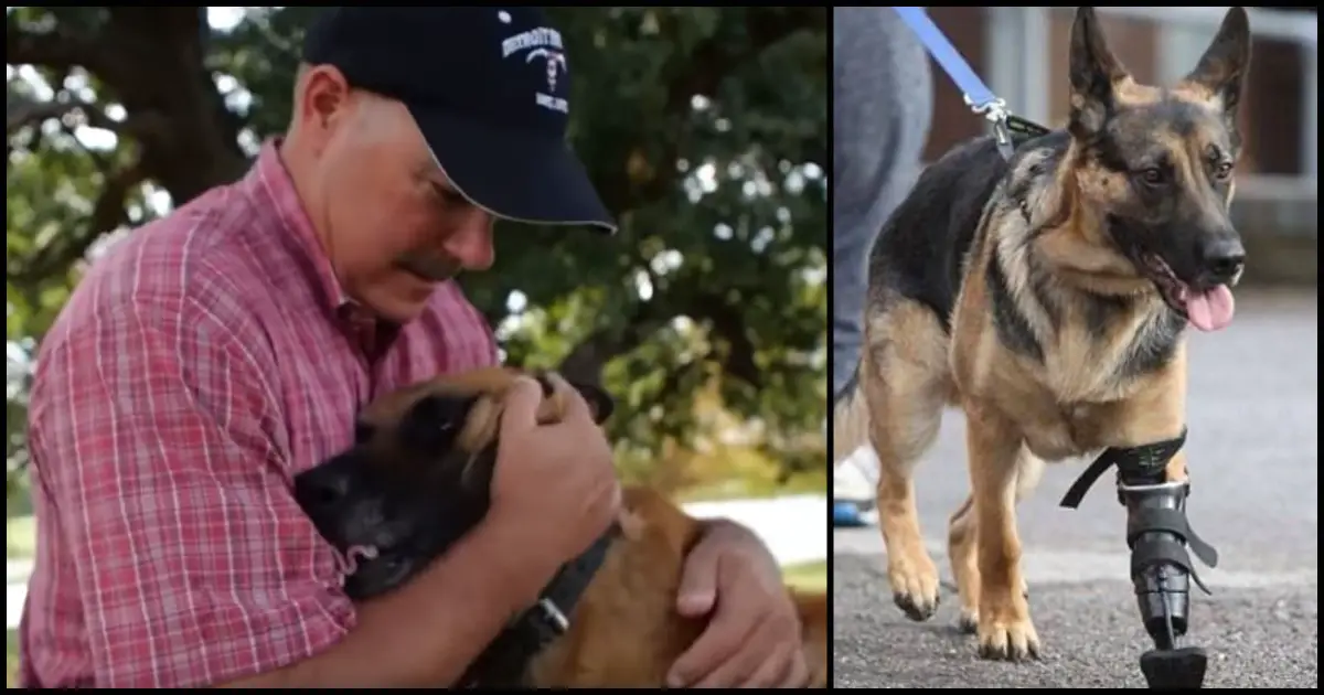 Heroic Navy Seal Rescues Retired Heroic Navy Seal Rescues Retired