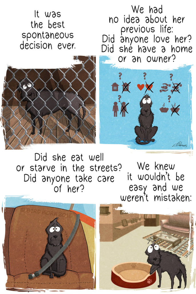 This is what we learned after we adopted a shelter dog