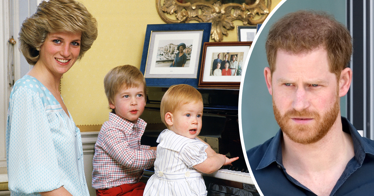 Prince William’s true feelings for Prince Harry revealed in never ...