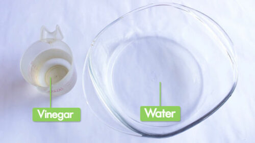 Discover: A Glass of Water, Vinegar, and Salt Can Cleanse Your Home