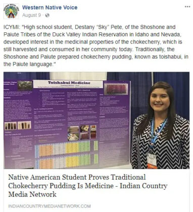 High school student wins science fair by demonstrating how a long ...