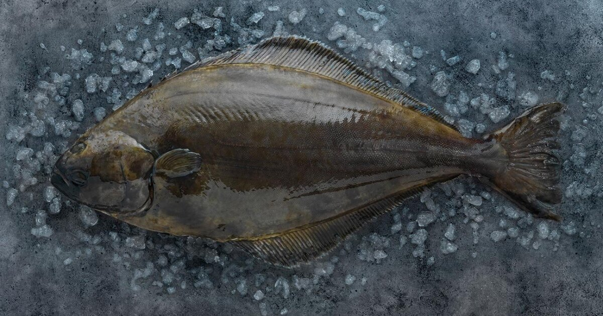 14 fish you should avoid putting on your plate