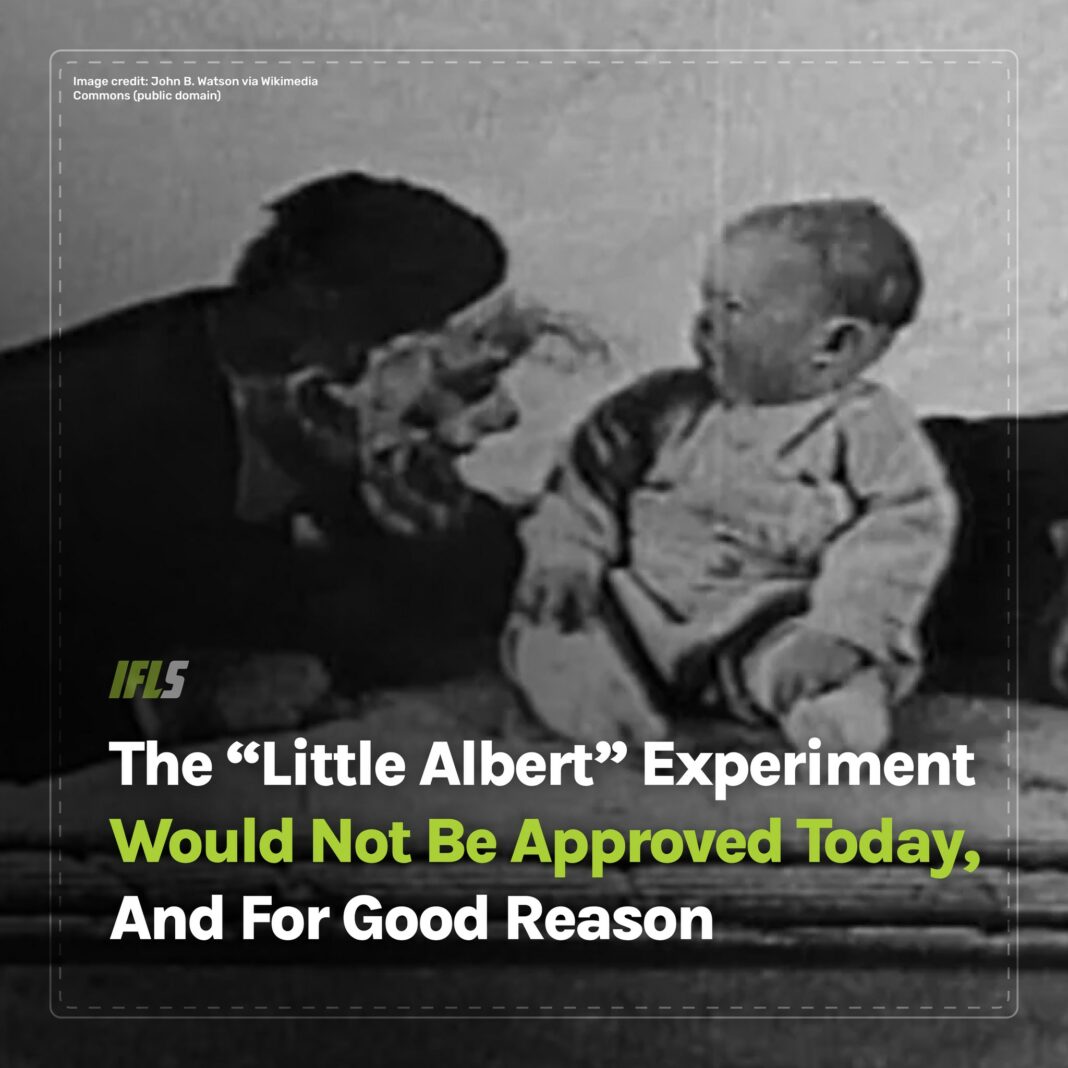 'Little Albert': child subject of historic study died at just six