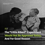'Little Albert': child subject of historic study died at just six