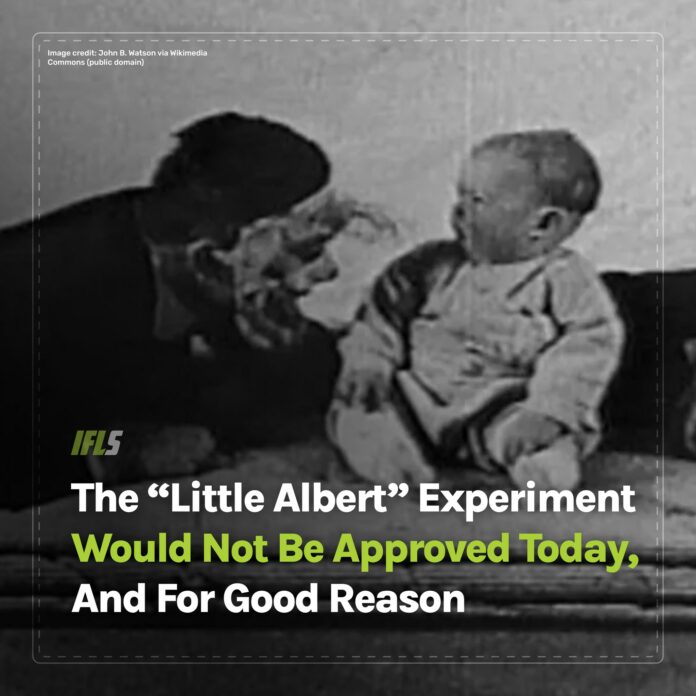 'Little Albert': child subject of historic study died at just six